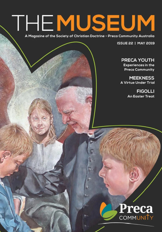 THE MUSEUM Issue 22 2019 - SDC M.U.S.E.U.M.